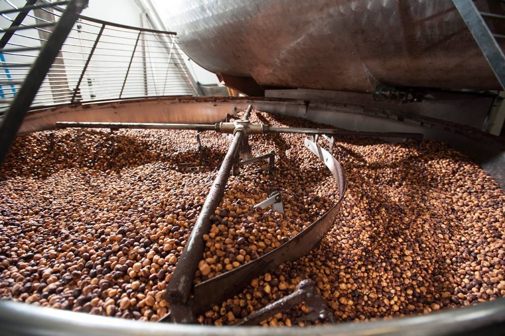 Le chocolat : du cacaoyer à la poudre de cacao - L'ardoise à craie